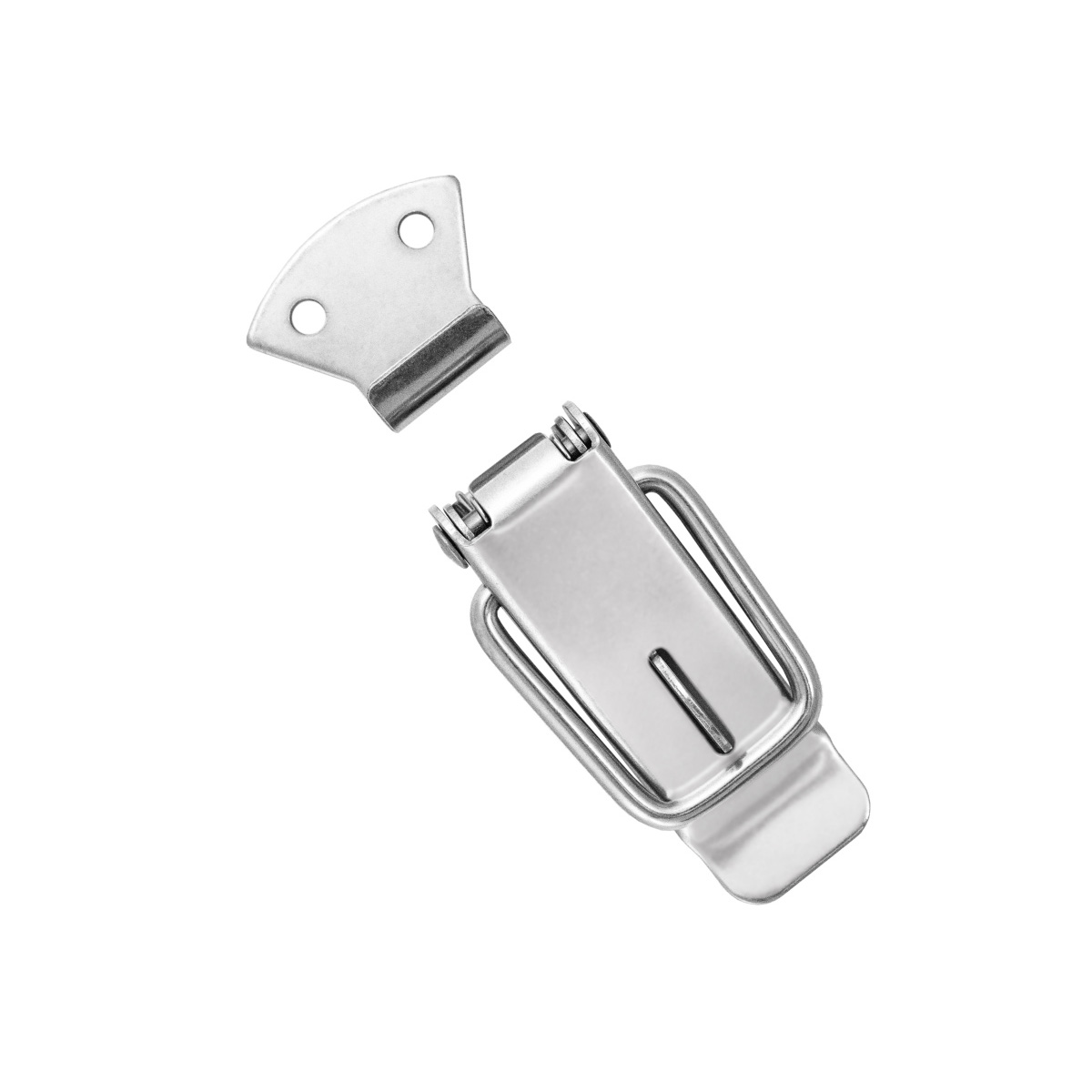 Stainless Steel Spring Loaded Chest Latch - Avanti Systems Co. Ltd